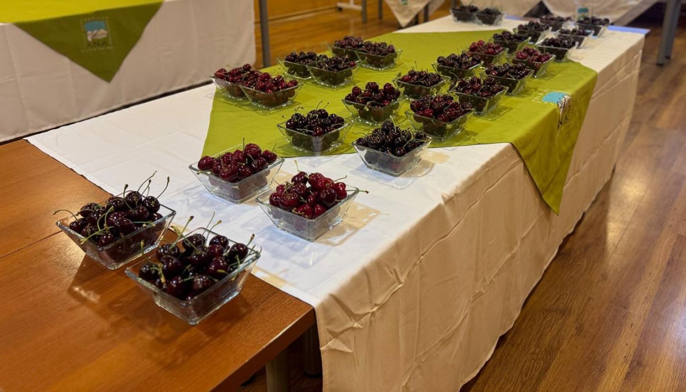 Con apertura de cajas in situ se realizó 8° versión de Cherry Expo ...