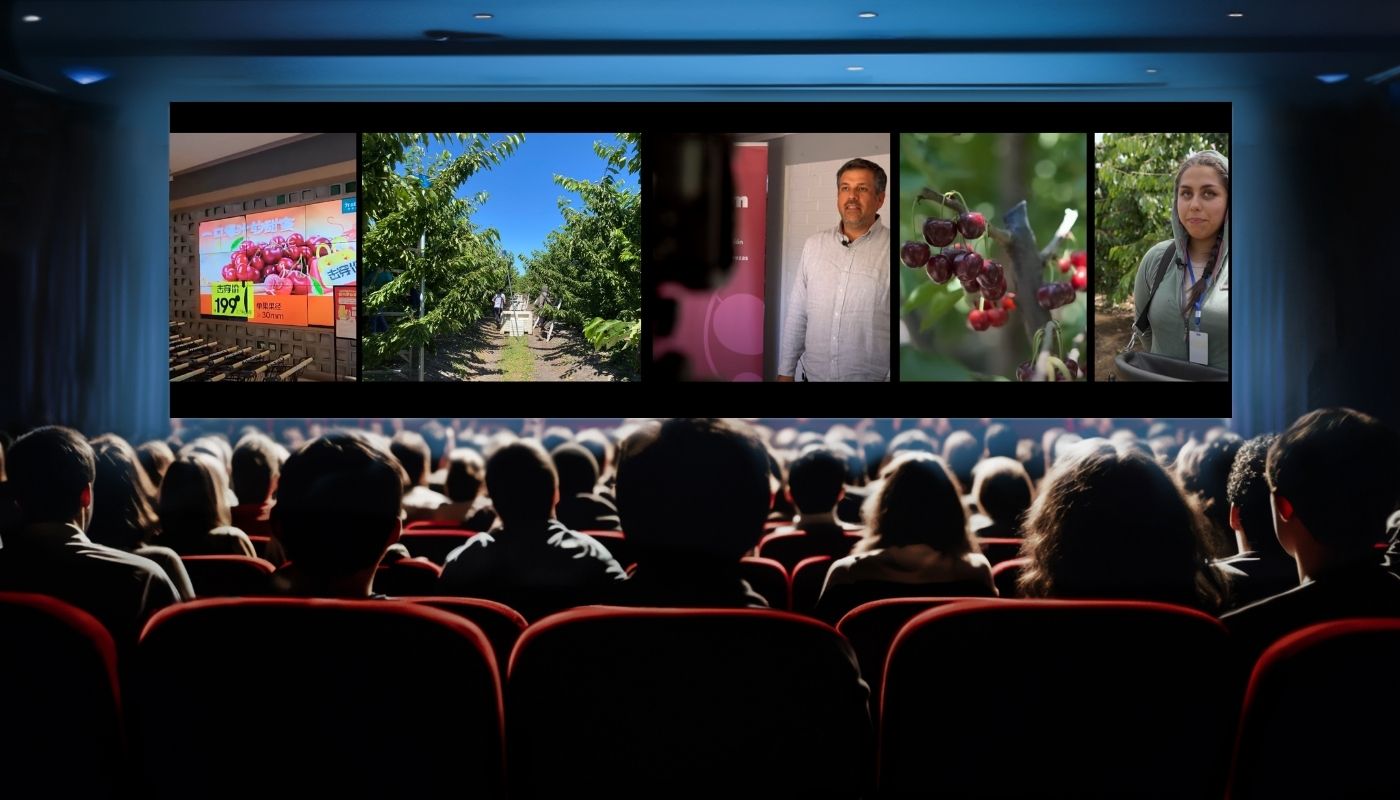 Imperdible: Revisa la segunda temporada completa de Reportajes en Smartcherry TV - Smartcherry