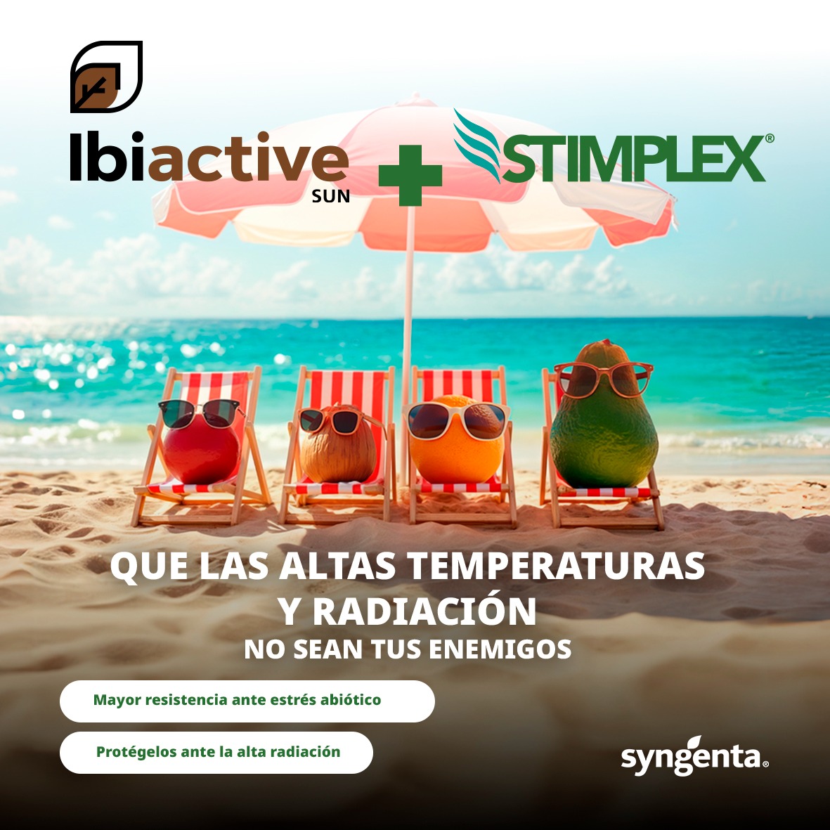 Prepárate para un verano exitoso con Ibiactive Sun + Stimplex®️: protección y resistencia para ...