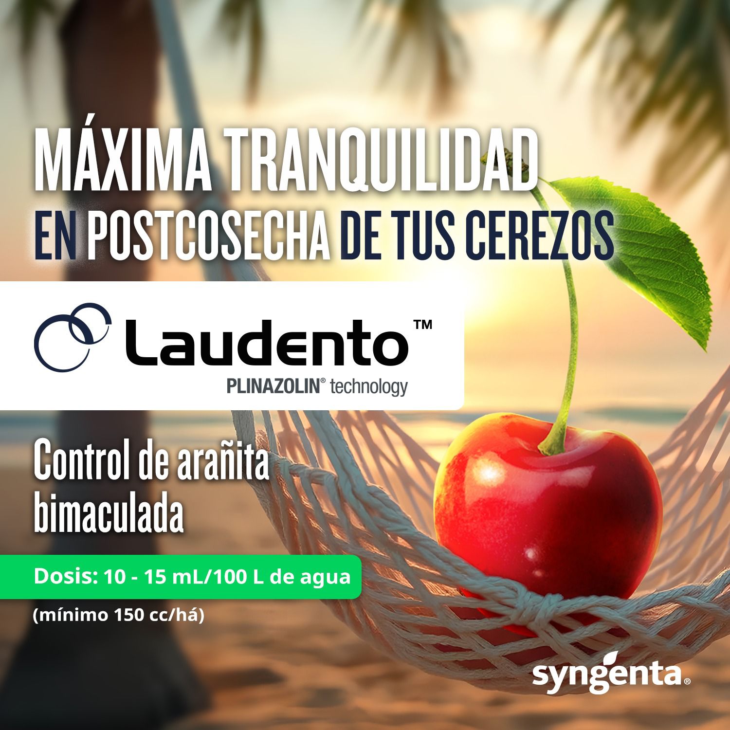 ¡Tu tranquilidad para la próxima temporada comienza con Laudento ...
