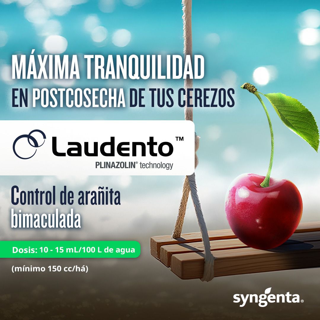 ¡Protege tu huerto de cerezos en postcosecha del ataque de arañitas ...