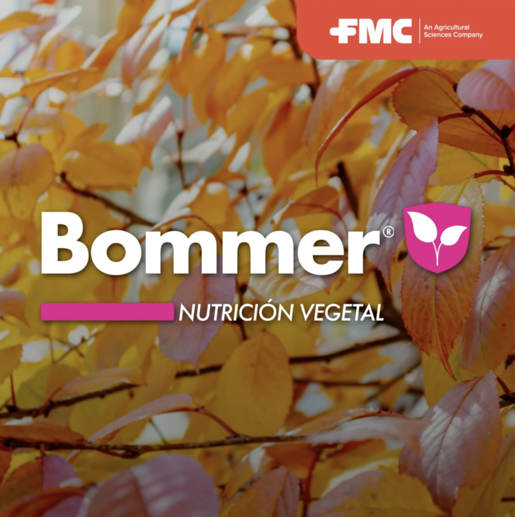 Bommer: favorece y estimula la entrada a receso invernal y la ...