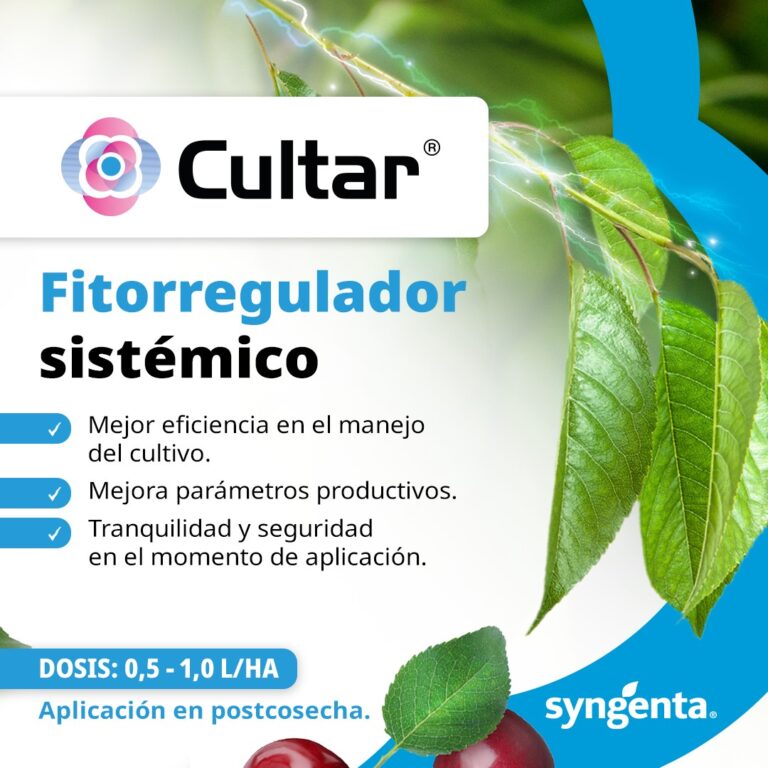 CULTAR®: el fitorregulador de crecimiento en cerezos de Syngenta ...