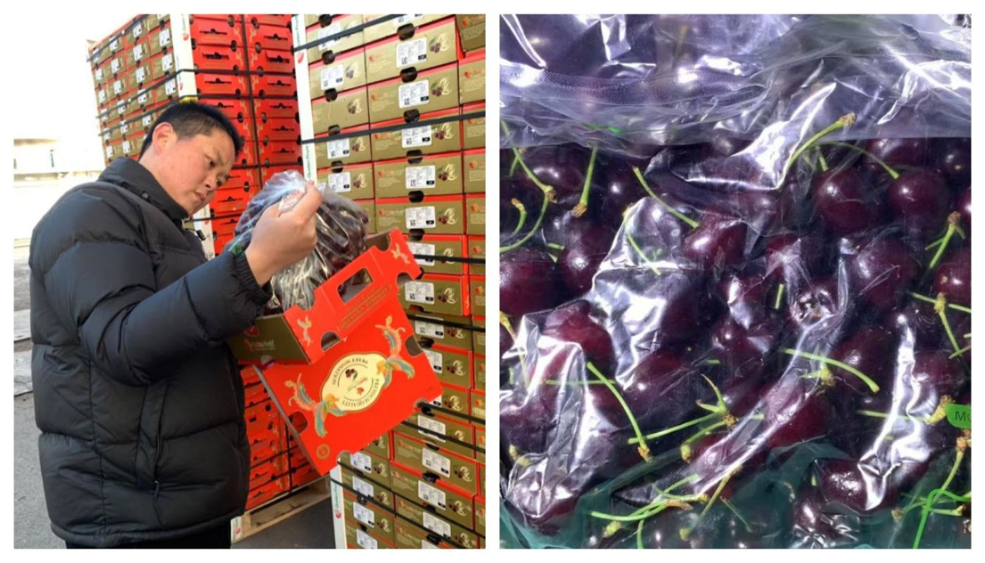 Revive los mejores momentos de la tercera temporada de "Smartcherry en Destino" - Smartcherry