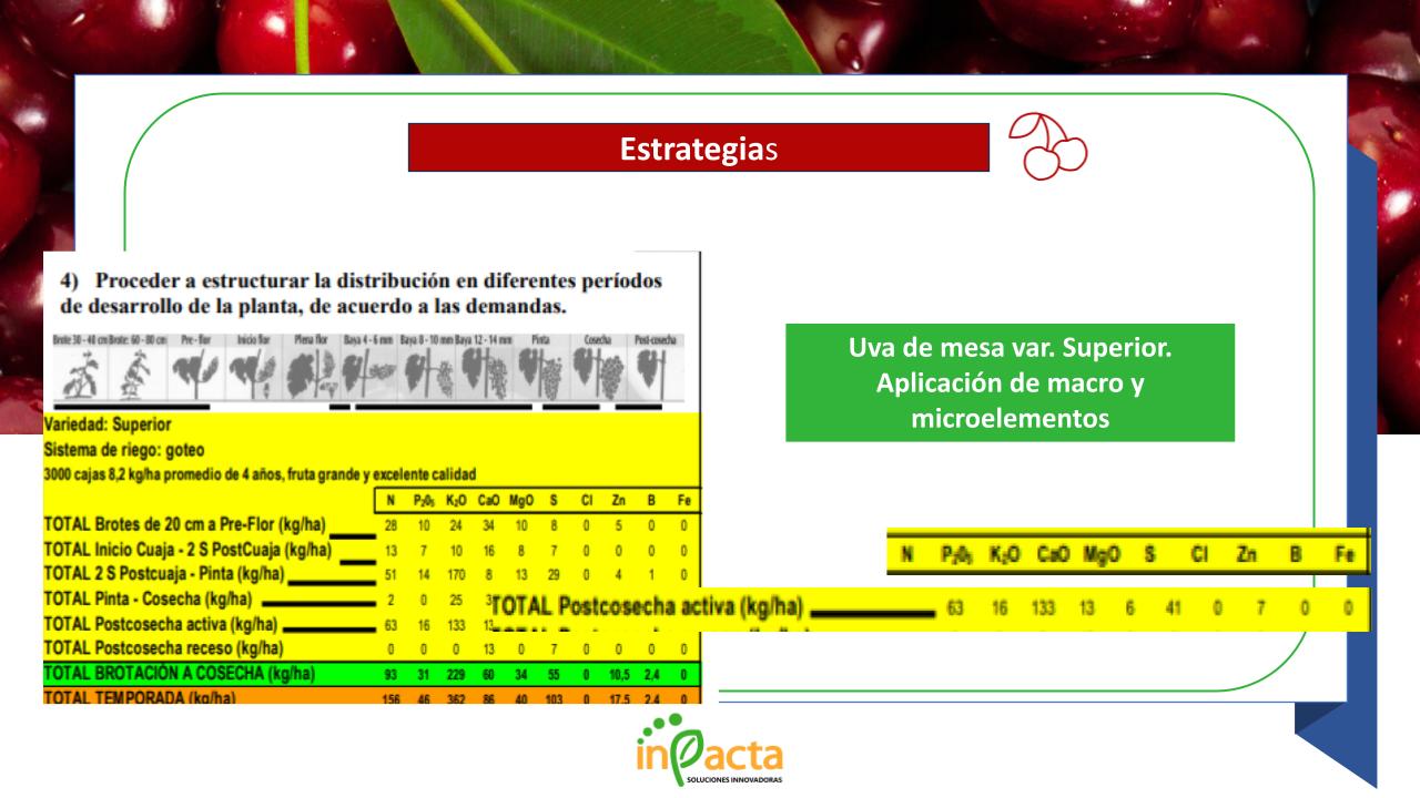 In-Pacta da a conocer línea de Postcosecha para el 2025 - Smartcherry