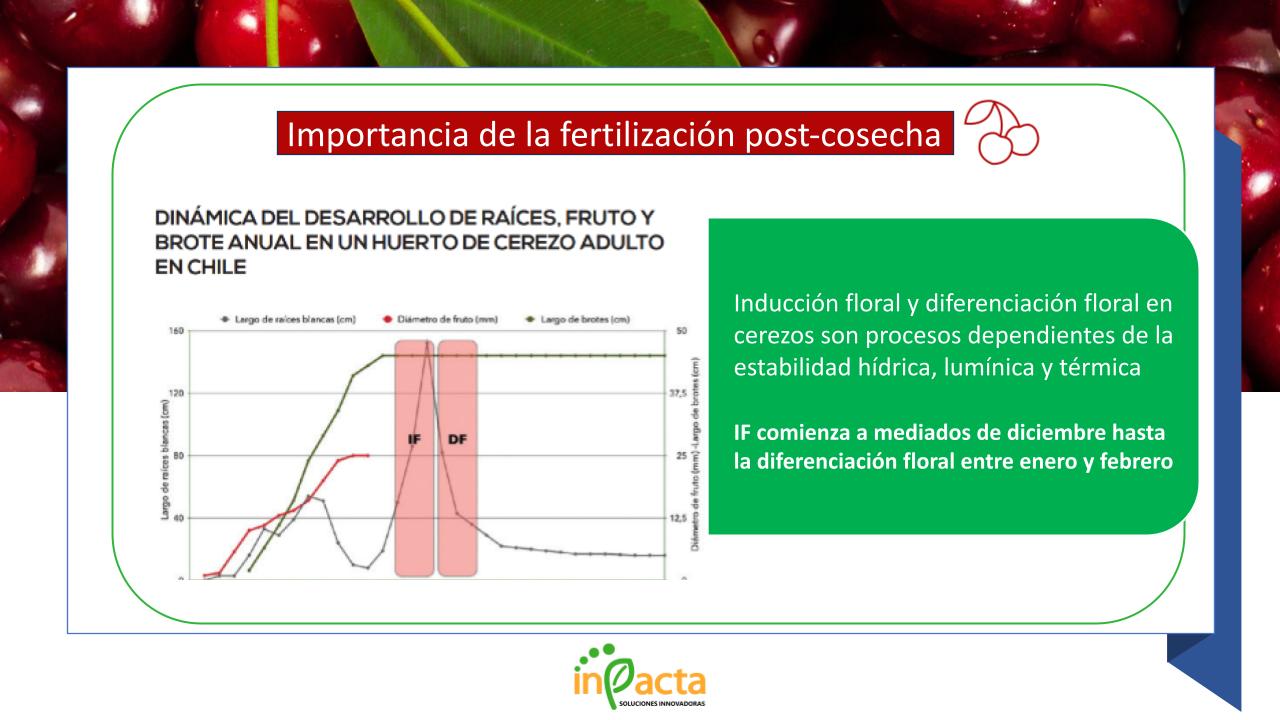 In-Pacta da a conocer línea de Postcosecha para el 2025 - Smartcherry