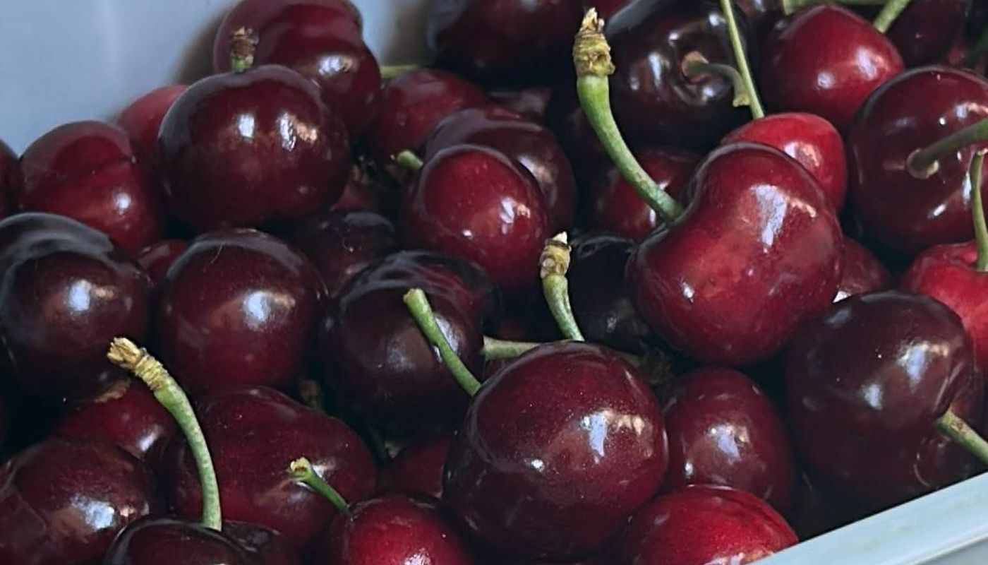 Calidad y llegada a destino en buen estado: Las claves para la próxima temporada de cerezas ...