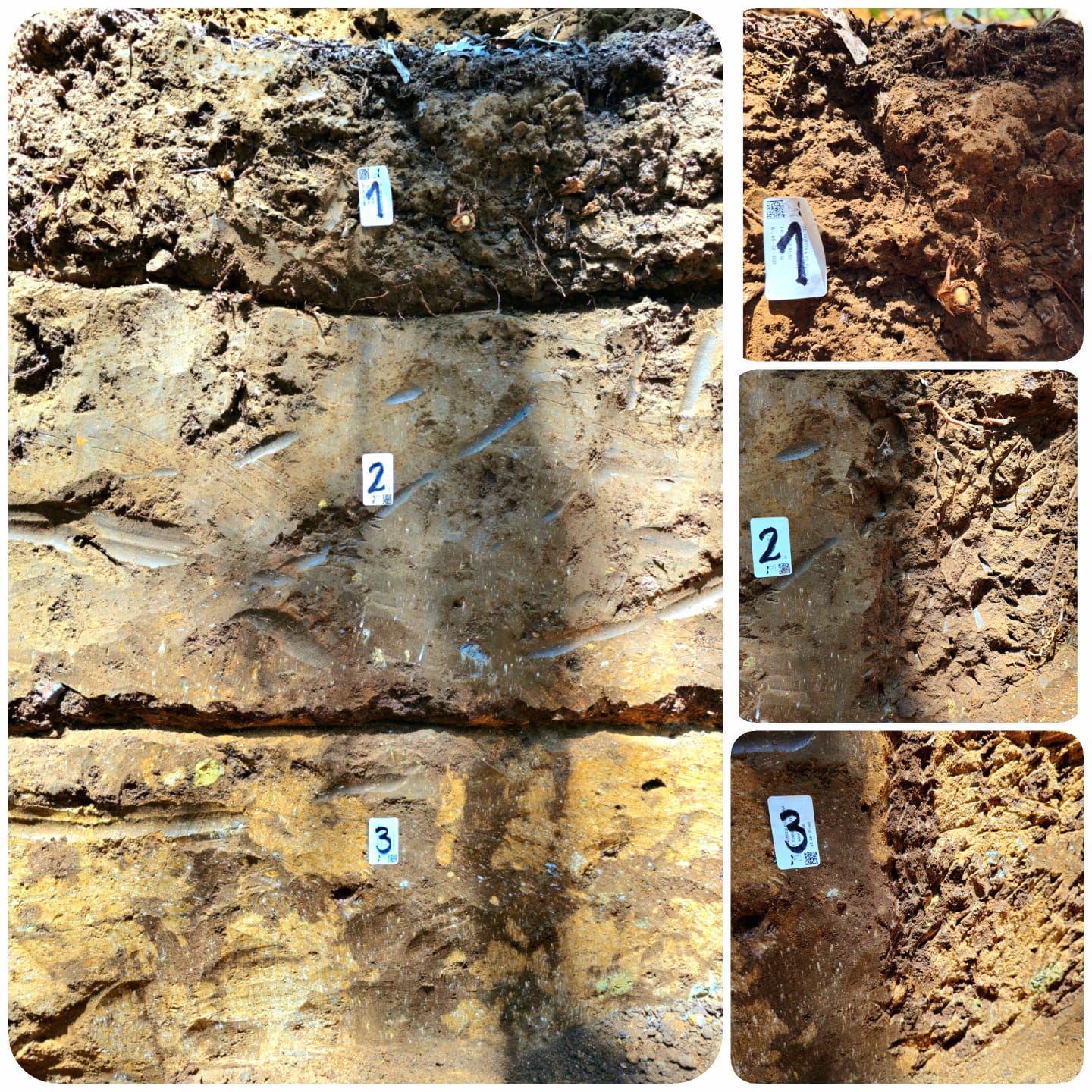 AGQ Labs - Smartcherry