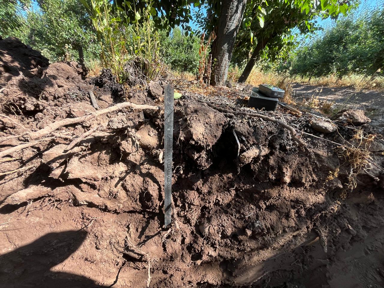 Productor destaca los beneficios de Growel en su huerto y valora el ...