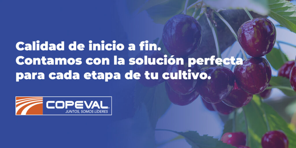 COPEVAL - Smartcherry