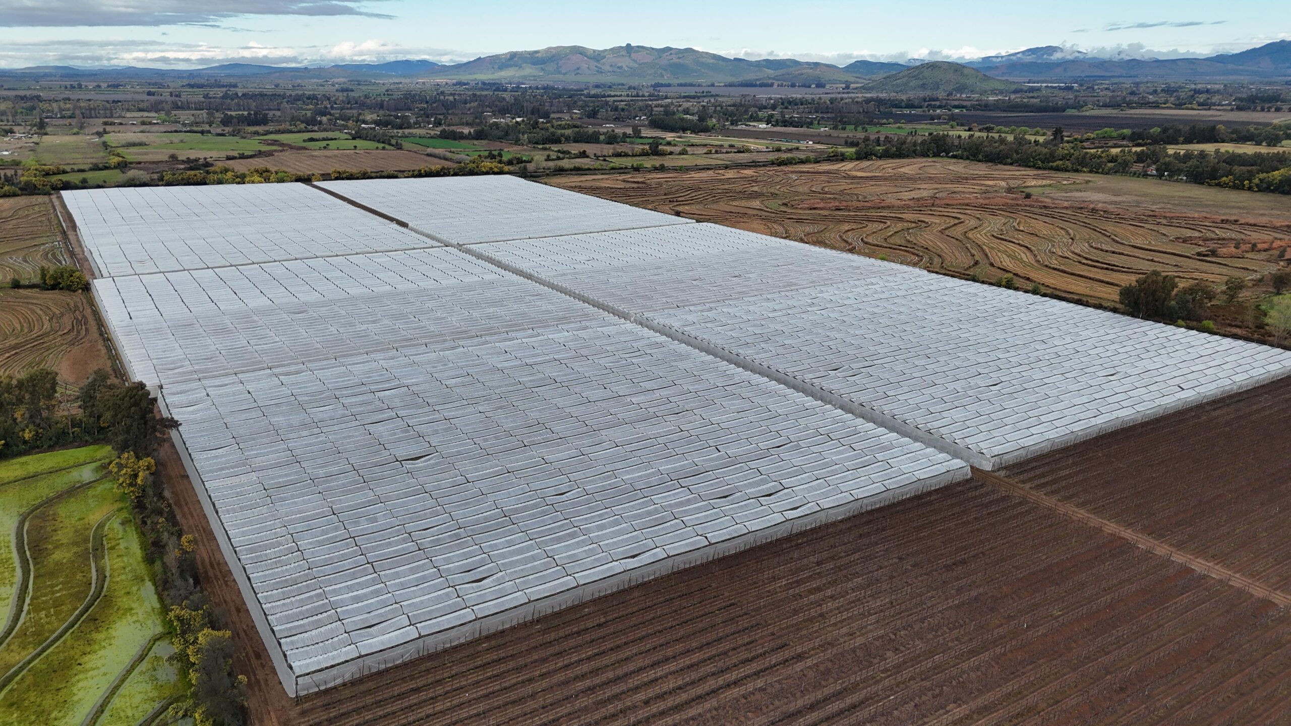 Agrocover celebra diez años de trayectoria con innovación y realidad virtual en CherryTech 2025 ...