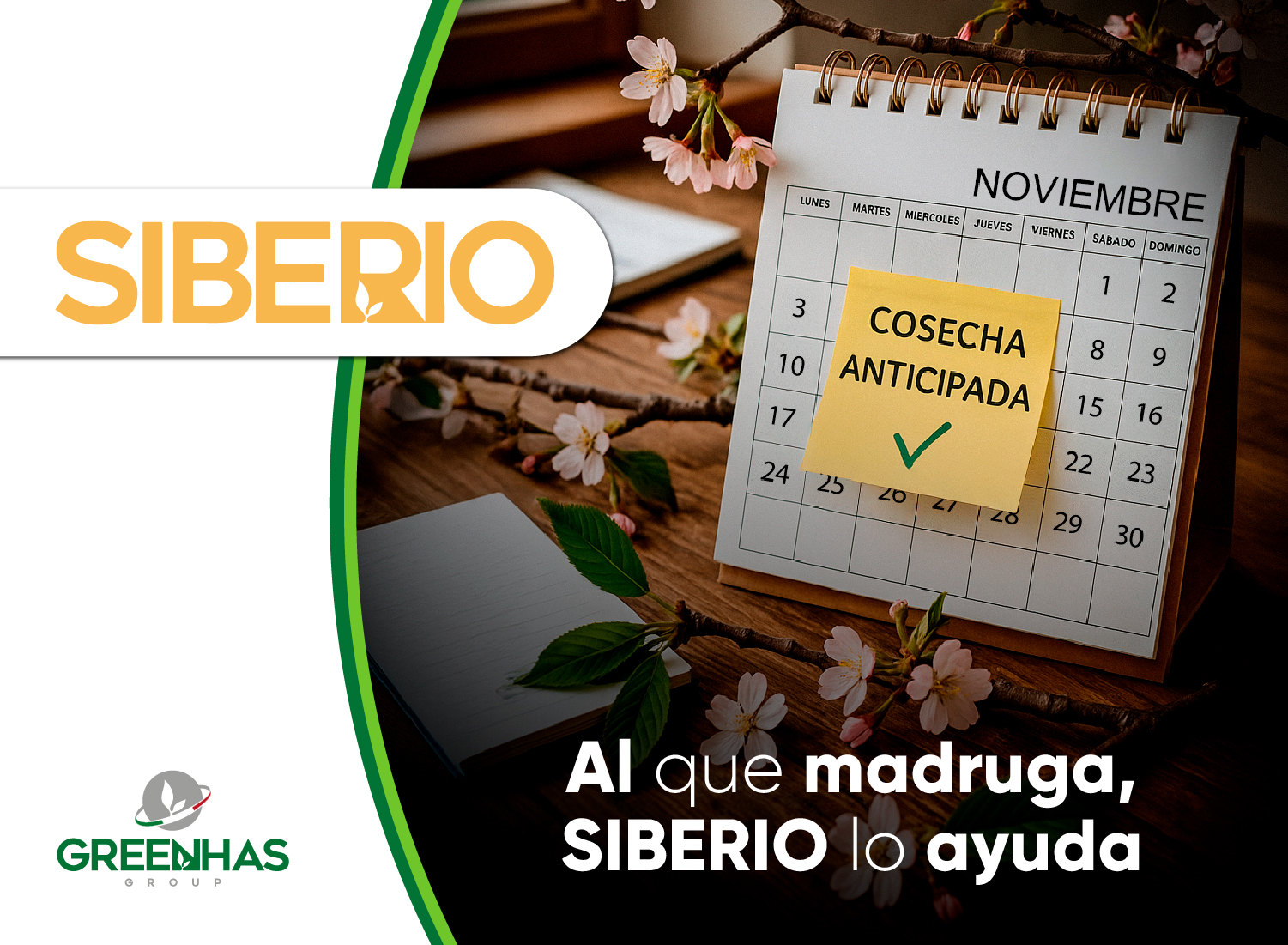 Siberio: La Clave para Adelantar, Ahorrar y Ganar en la Temporada de ...