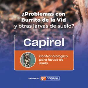 COPEVAL - Smartcherry