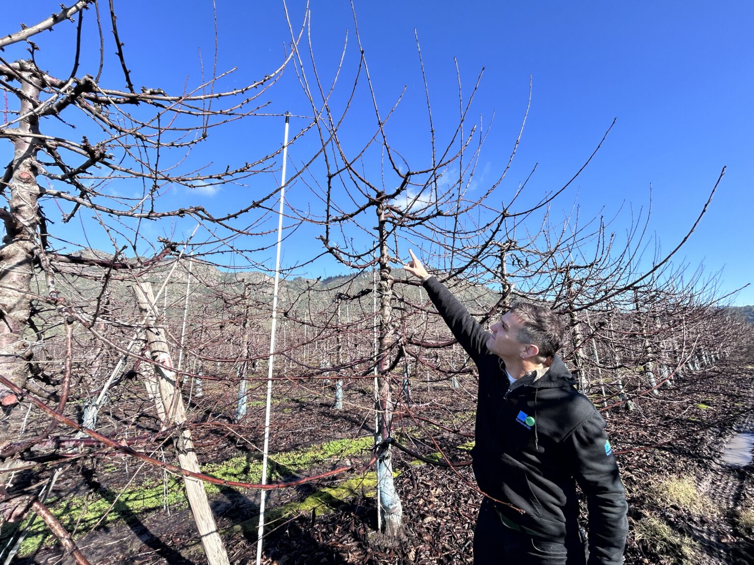 Vadpagro dijo presente en CherryTech 2025 con soluciones de alta tecnología para el cerezo ...