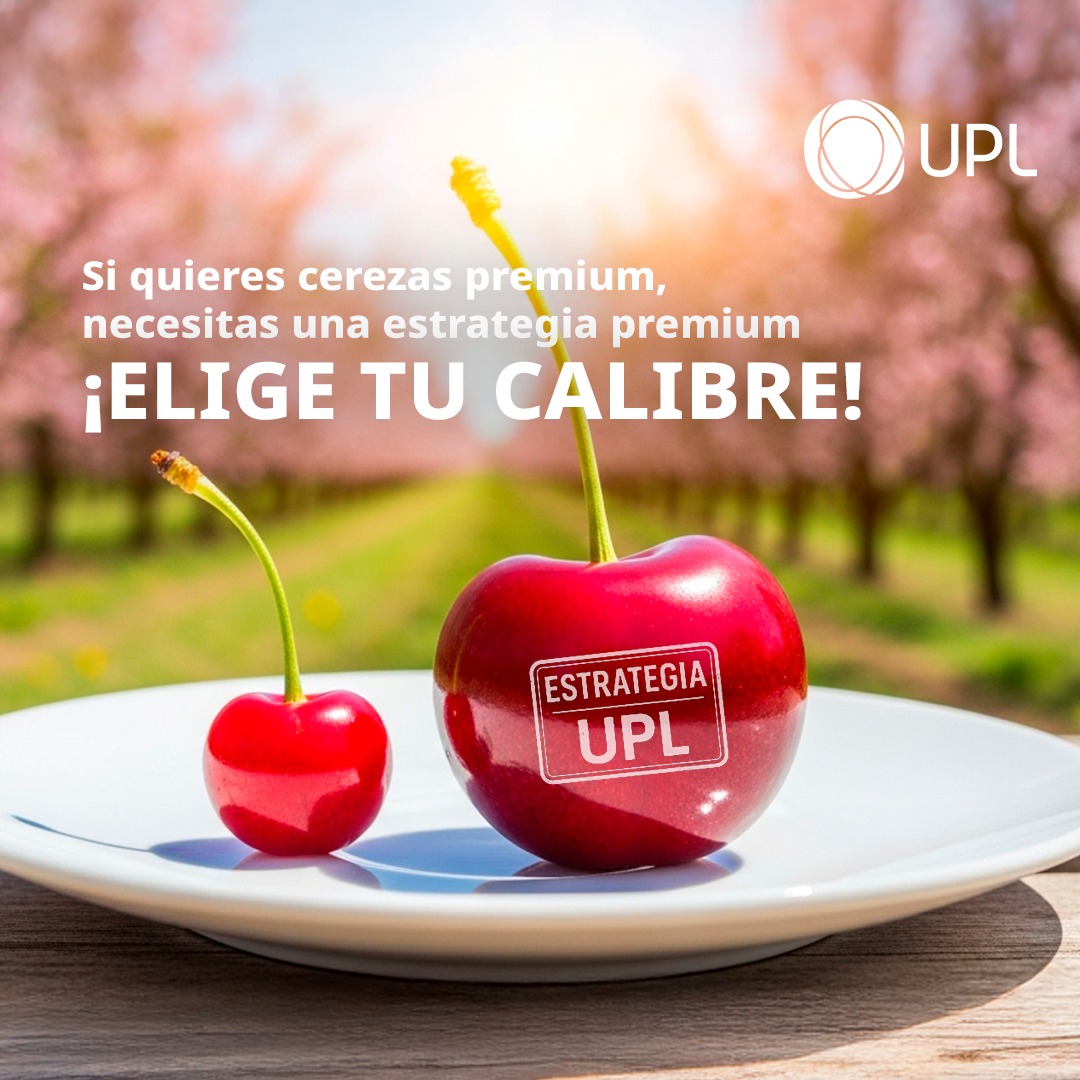 Stimplex®: Bioestimulación en floración para proteger la viabilidad del óvulo - Smartcherry