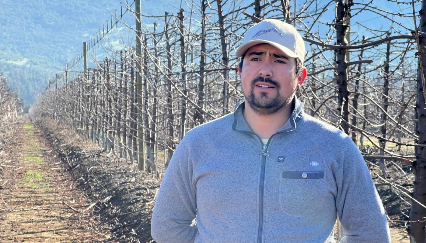 Ricardo Rojas: "Los nuevos desafíos de la industria de la cereza están ...