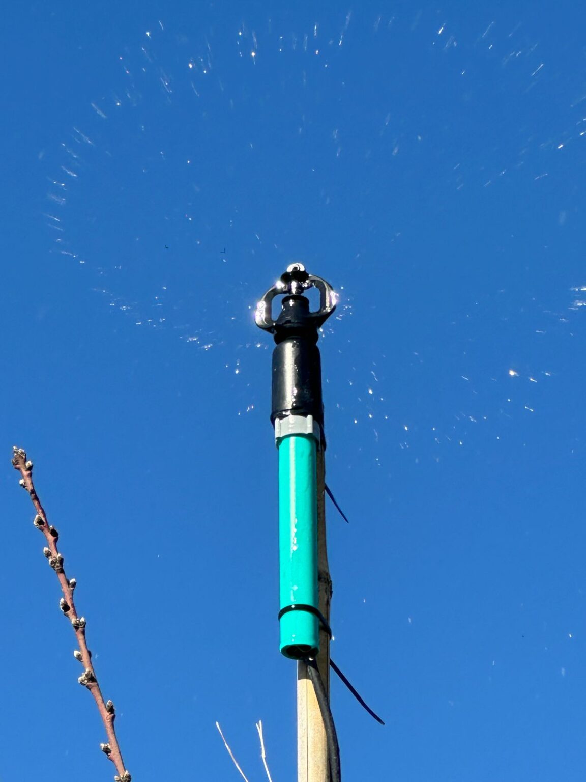 Agrocover sorprendió en CherryTech 2025 con experiencia inmersiva en tecnología agrícola ...