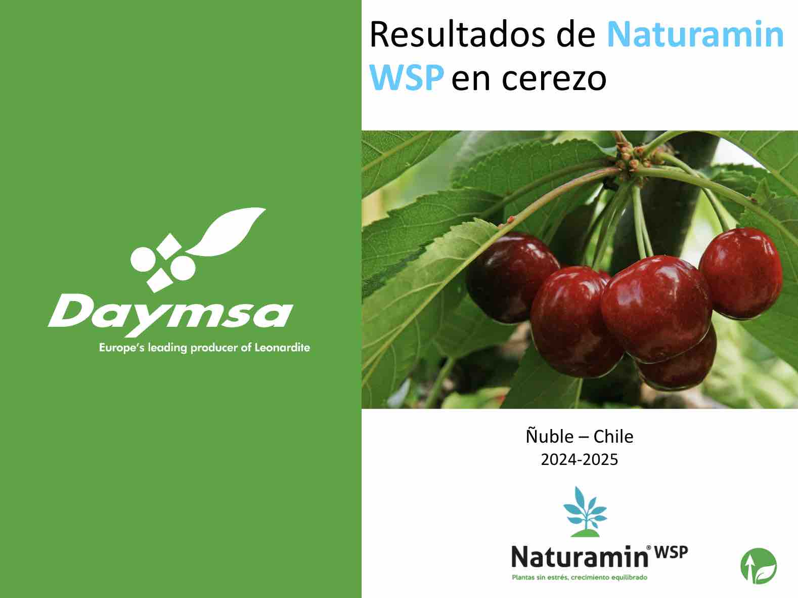 Naturamin® WSP mejora calibre, firmeza y rendimiento en cerezas Lapins: Resultados positivos en ...