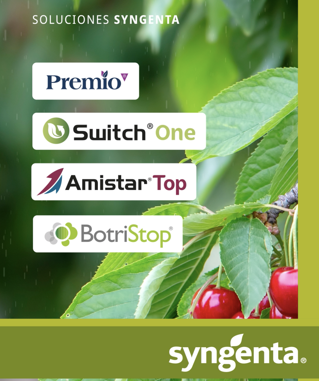 Se aproximan lluvias - Smartcherry