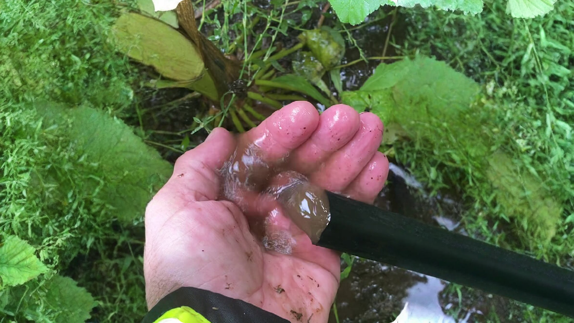Flushing: La técnica que evita perder hasta 40% del agua en cultivos ...