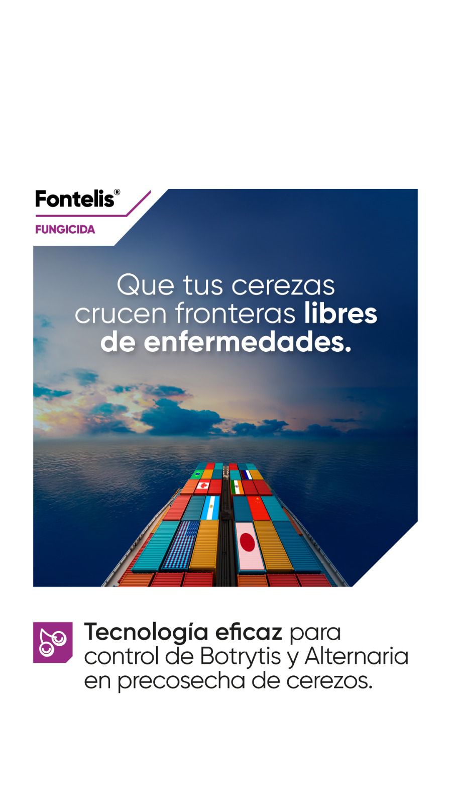 Fontelis®️: El fungicida de Corteva que otorga un blindaje preventivo y ...