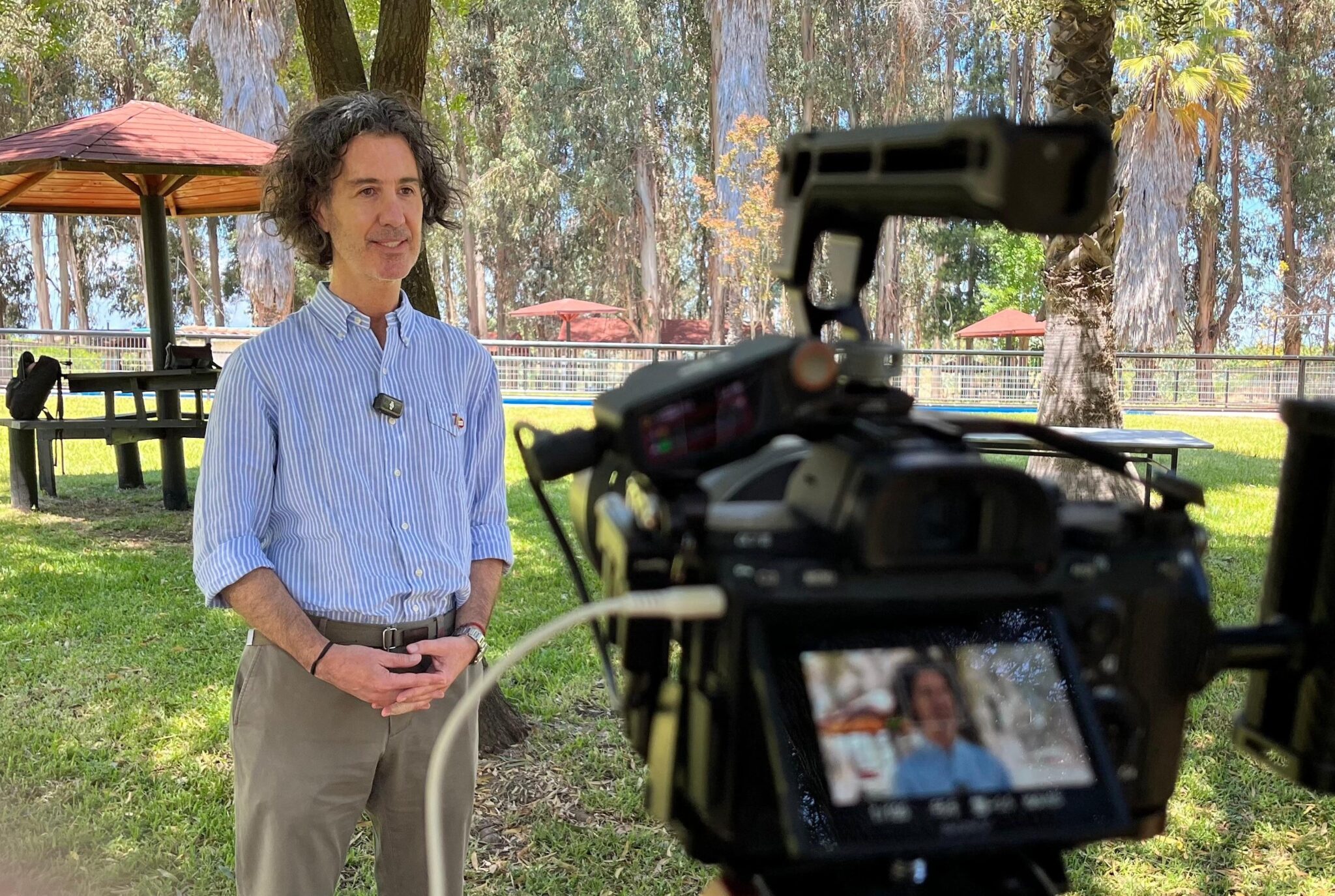 Uso de KELPAK® para Cuaja y Calibre en complemento con Bayfolan® Algae en Cerezos - Smartcherry