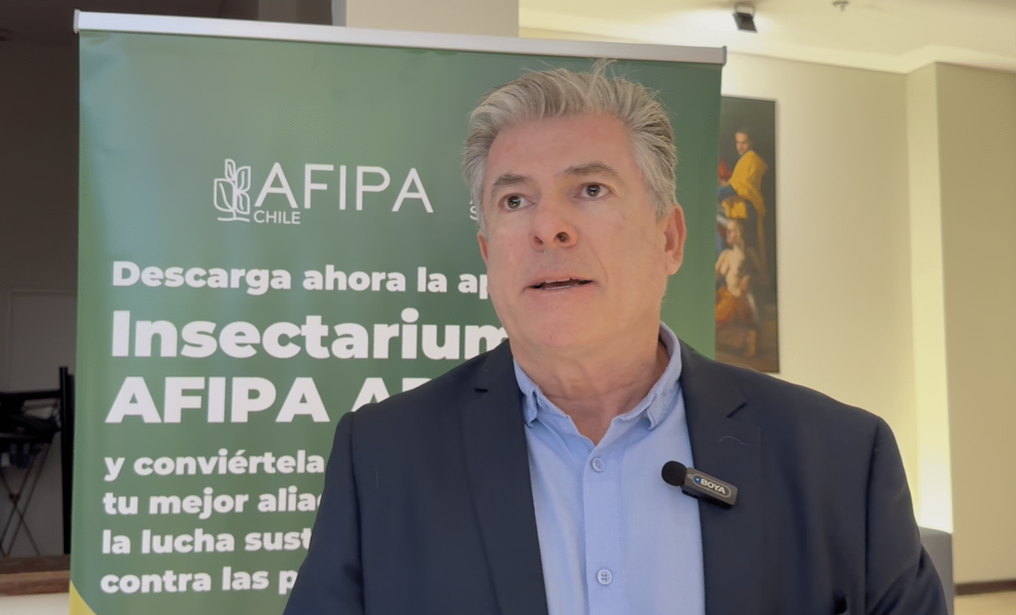 Uso de KELPAK® para Cuaja y Calibre en complemento con Bayfolan® Algae en Cerezos - Smartcherry