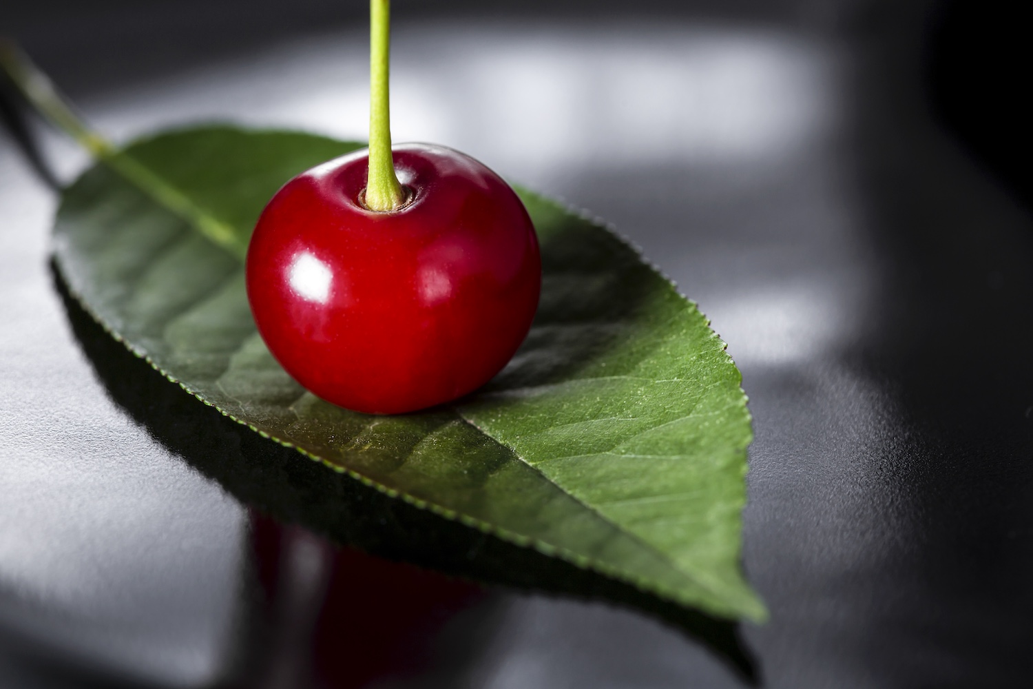 Naturamin WSP, optimiza el funcionamiento de tus plantas y mejora el ...