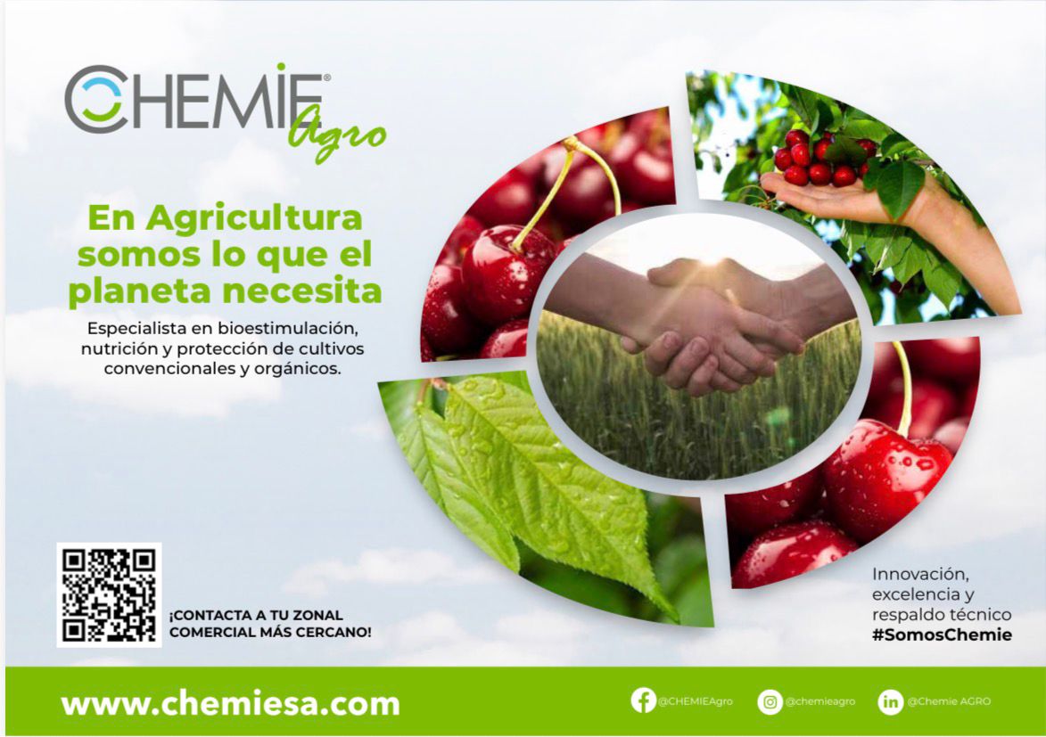 De la raíz al fruto: Chemie entrega una estrategia técnica para ...