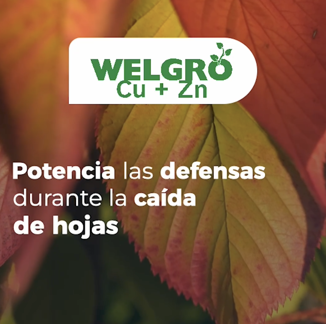 WelGro Cobre Zinc para caída de hoja - Smartcherry